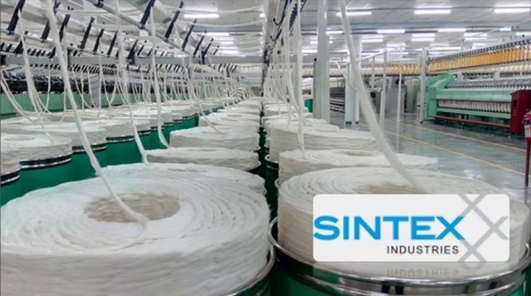 Sintex, a subsidiary of Welspun Corp, will set up water tank and PVC ...